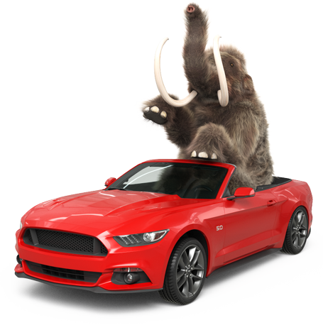 Custom 3D Models and 3D Modeling Service 3D models